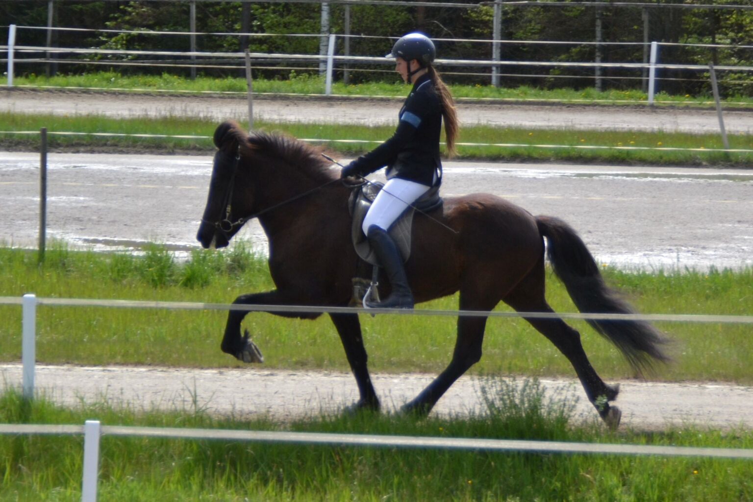 Neuer Teilnehmerrekord! Danke für eine spannende Frühjahrs-VM 2023 ...